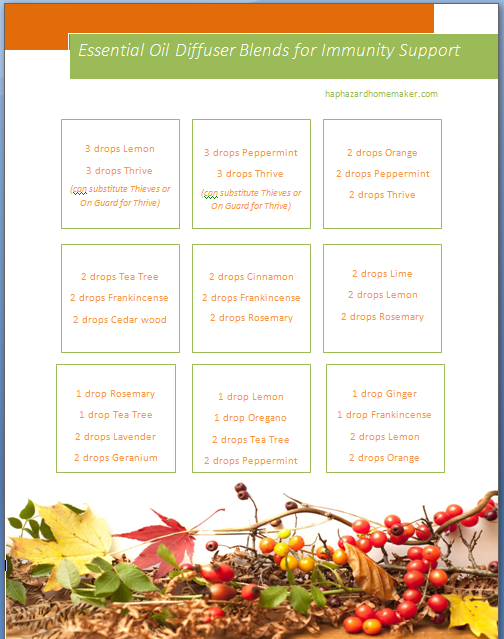 Diffuser Blends for Immunity Support – Haphazard Homemaker