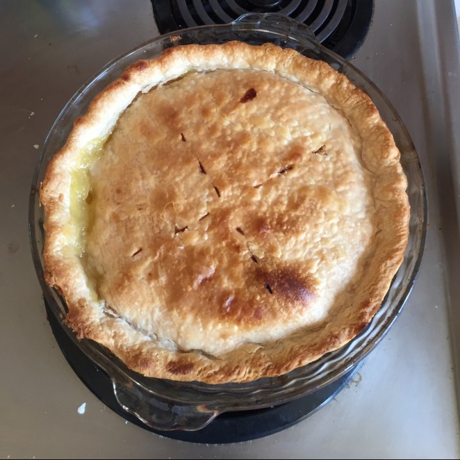 Shaker Lemon Pie – Haphazard Homemaker