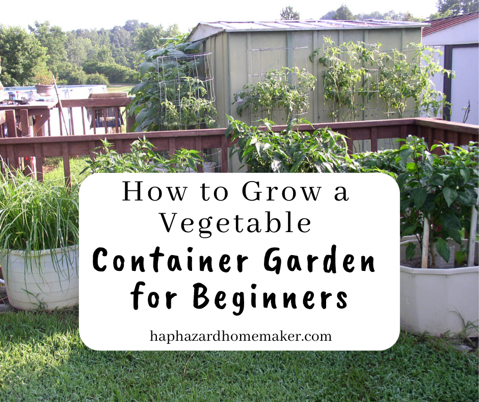 How to Grow a Vegetable Container Garden for Beginners – Haphazard ...