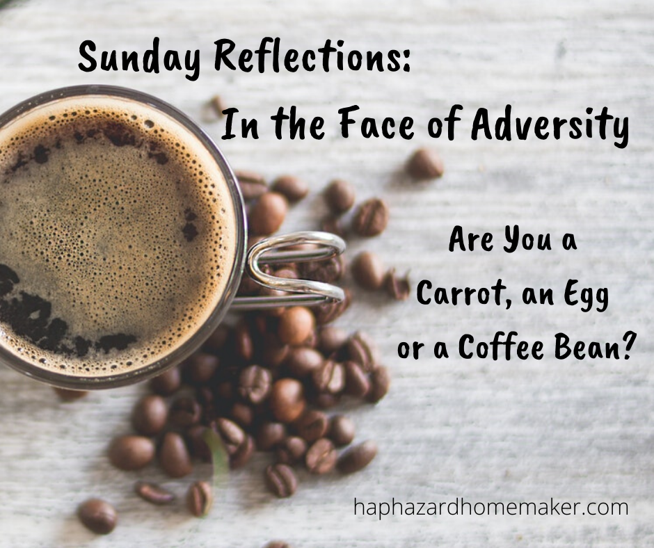 Sunday Reflections: In the Face of Adversity – Haphazard Homemaker