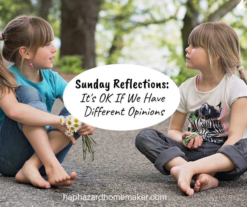 Sunday Reflections: It’s OK If We Have Different Opinions – Haphazard ...