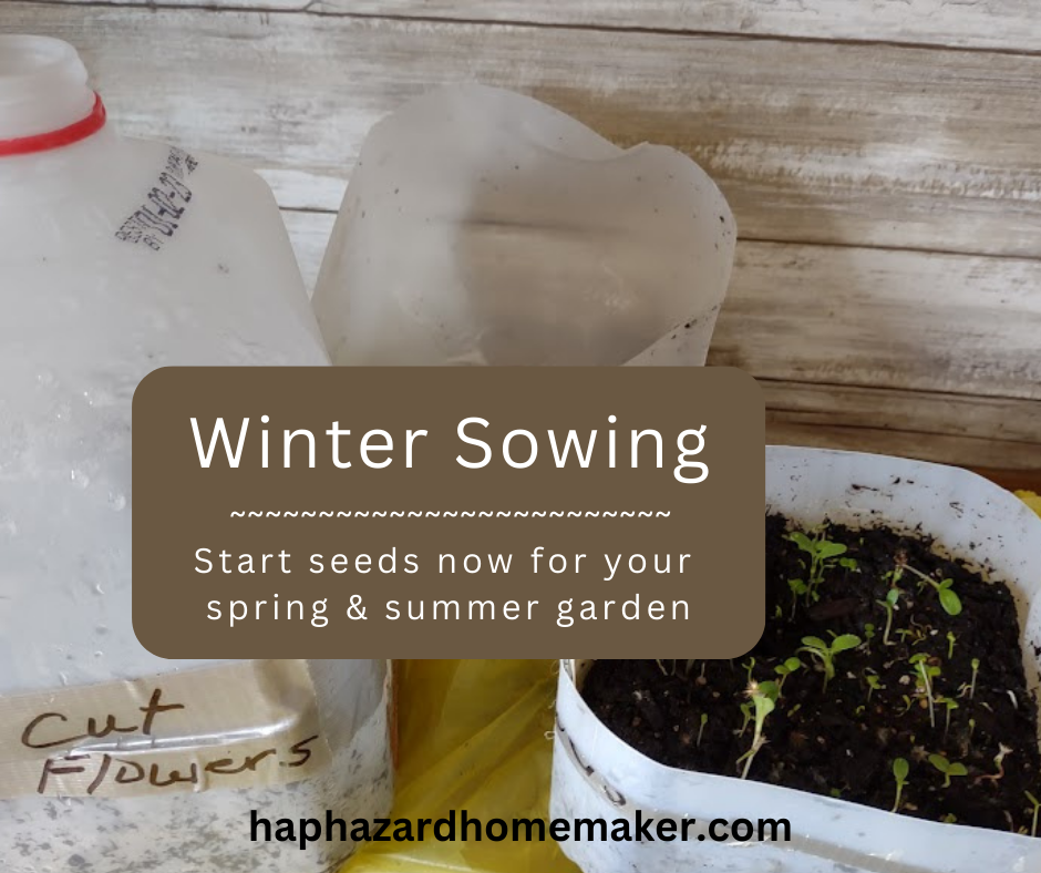 Winter Sowing – Haphazard Homemaker